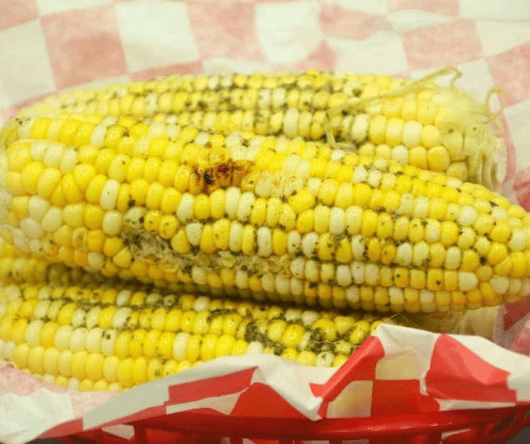 43 BEST BLACKSTONE RECIPES FOR A CROWD - Grill Cuisines