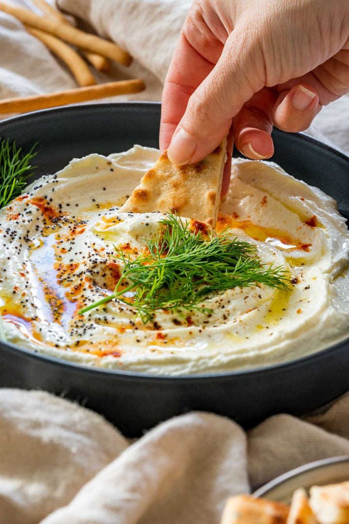 20 Party Dips Recipes - Grill Cuisines